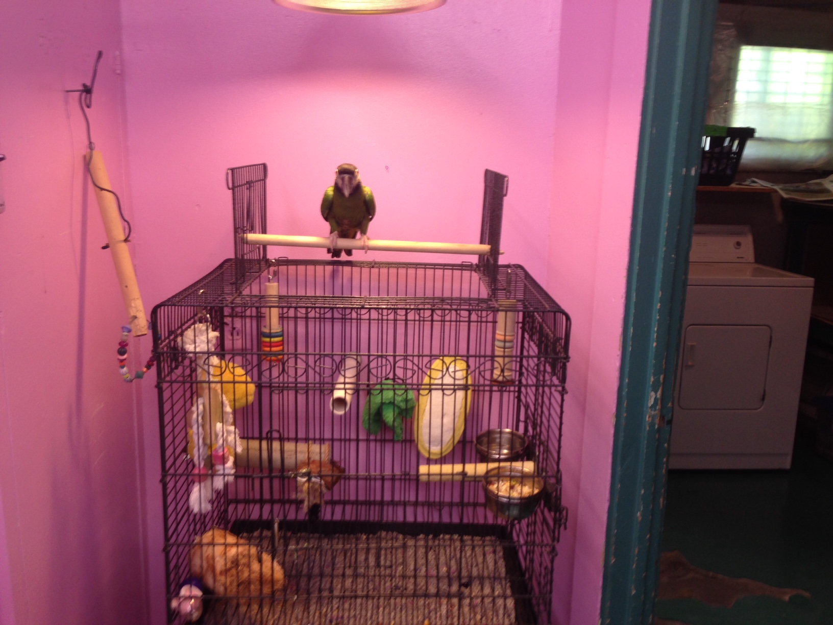 Gupton Pet Care Center