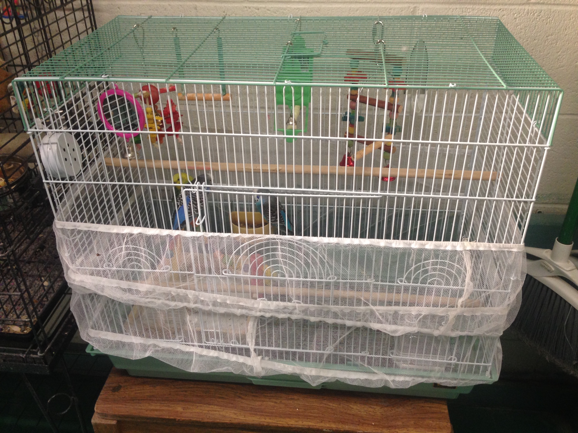 Gupton Pet Care Center